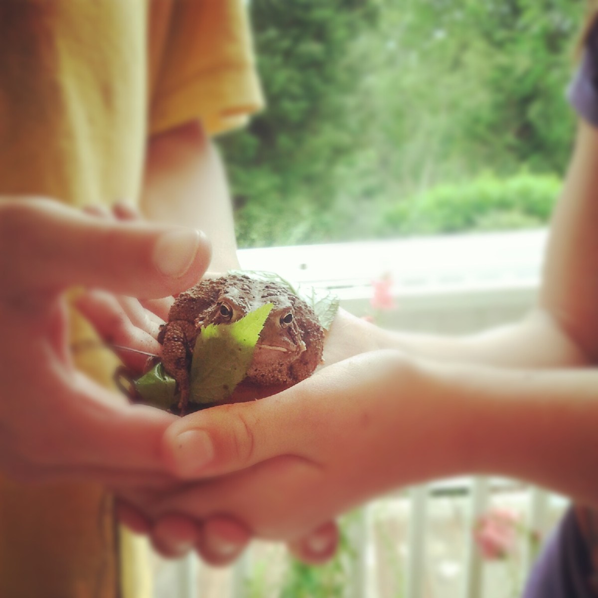 The Job of a Child – Boils Down to It